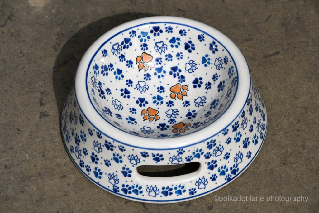 Paw Pattern Dog Bowl in the home - Polkadot Lane Polish Pottery