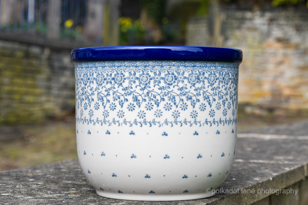 Spring Flower Plant Pot - Polkadot Lane