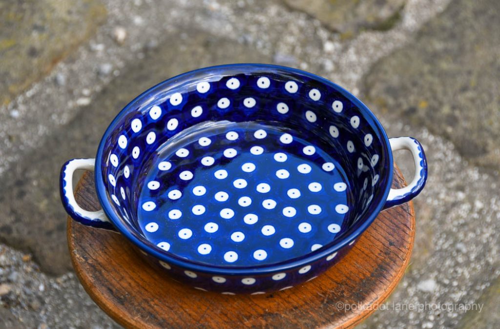Polkadot Blue Small Dish for serving tableware - Polkadot Lane